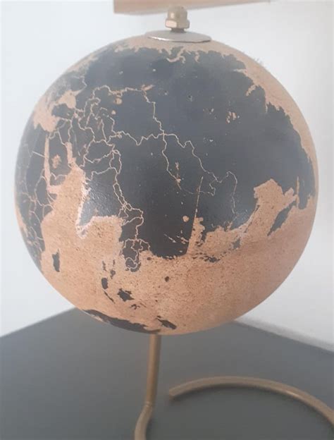 Nice Earth Globe Bro Rshittymapporn