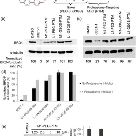 Proteolysis Targeting Chimera Protac Based On Macrocycles And A Download Scientific Diagram