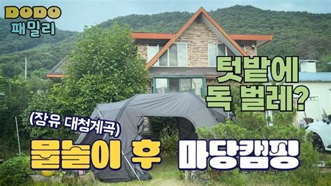 계곡에서 놀고💦 마당에서 캠핑⛺ 텃밭에서 만난 독 벌레 Youtube