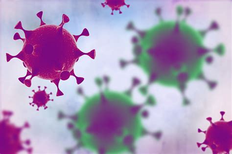 3d 렌더링 박테리아 바이러스 3d 렌더링 미생물 현미경의 밑에 박테리아 바이러스 또는 세균 미생물 세포 0명에 대한 스톡 사진 및 기타 이미지 Istock