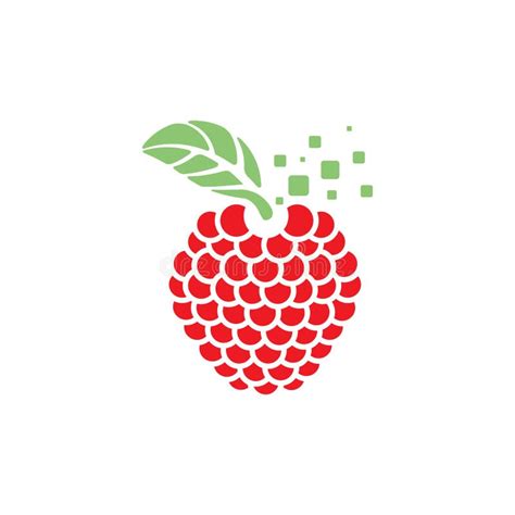 Raspberry Pi Logo Icon