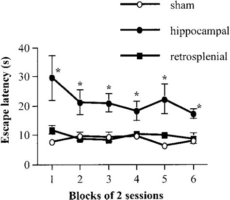 Mean Sem Latency Of Rats With Lesions Of The Hippocampus Or Download Scientific Diagram