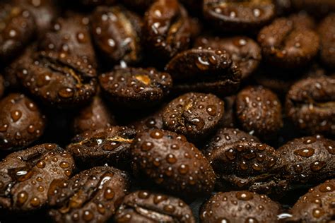 A Legjobb 4 000 Zoom背景無料ダウンロード方法 Témájú Fotó · 100 Osan Ingyenes