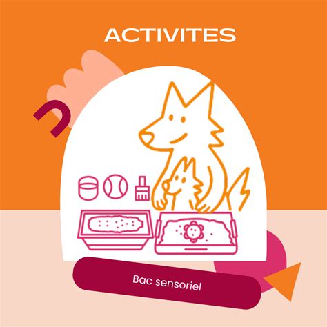 Le Bac Sensoriel Un Outil Magique Pour éveiller Apaiser Et Créer Du