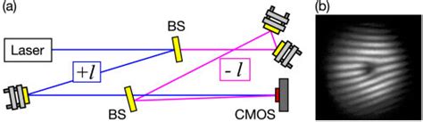 A Schematic Of The Interference Analysis Using The Modified Download Scientific Diagram