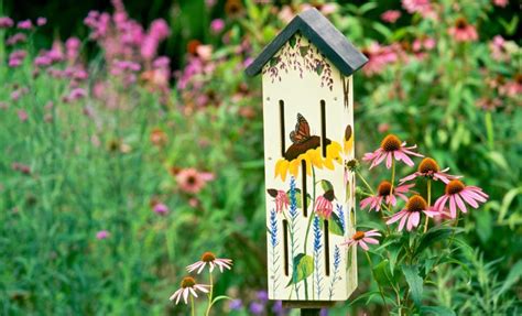 How To Build A Butterfly House