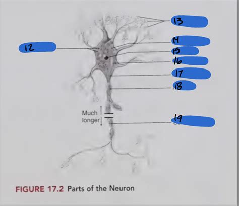 anp particle one pt 2 diagram quizlet