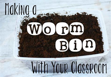 Making A Worm Bin In The Classroom The Teacher Bag