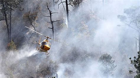 Gobierno De Nuevo León Controla Incendio En La Sierra De Santiago Proceso