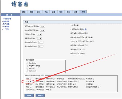 为什么应用皮肤后刷新博客页面空白 Issue 86 BNDong Cnblogs Theme SimpleMemory GitHub