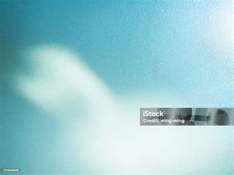 그림자 잎 배경 추상 블루 리브 나무 여름 열대 식물 오버레이 화이트 라이트 플라워 자연 분기 단풍 바닥 장미 벽 그늘 창에서 햇빛 최소 모형 템플릿 플랫폼 0명에 대한