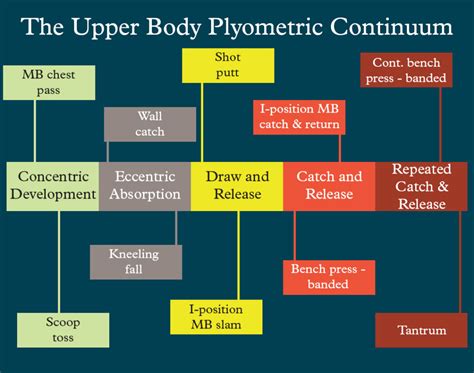 Upper Extremity Plyometrics Atelier Yuwaciaojp
