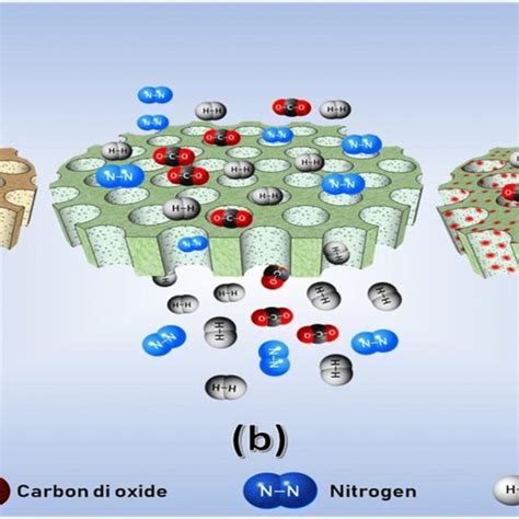 Representation Diagram Of A Gas Permeation Process By Original Track Download Scientific