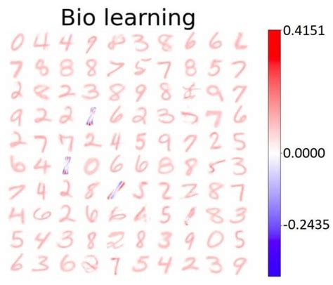 Towards New Generation Biologically Plausible Deep Neural Network Learning Sci Mdpi
