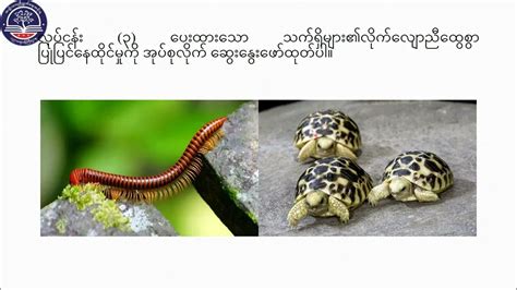 Grade 6 သိပ္ပံ၊ အခန်း ၄ ၊ သက်ရှိအမျိုးမျိုး အပိုင်း ၅ ၊ စာမျက်နှာ ၄၄ G6sc Episode 23 Youtube