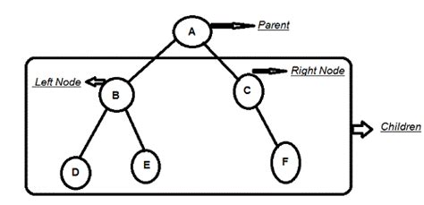 Binary Tree Assignment Help Binary Tree Homework Help Binary Tree Tutorials
