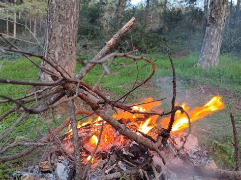 Mustafa Dalga On Linkedin Foreign Forces Imaginary Enemies To Cover Real Problems