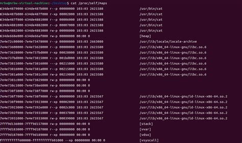 Proc Self Mem Mr Bw Blog