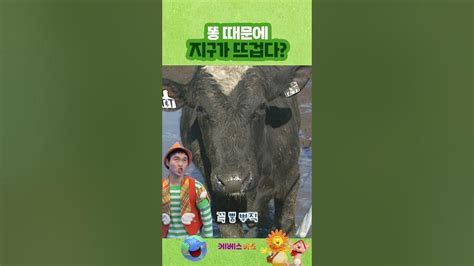 소 돼지가 싸는 똥 때문에 지구가 뜨겁대요ㅣ고기를 줄여요ㅣ파니파니 환경 애니메이션ㅣkbs 방송 Youtube