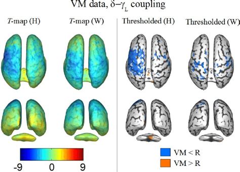 Similar To Figure 9 For L Coupling Download Scientific Diagram