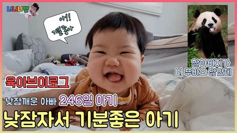 육아브이로그 낮잠 깨운 아빠 푸바오 닮은 8개월 아기 Youtube