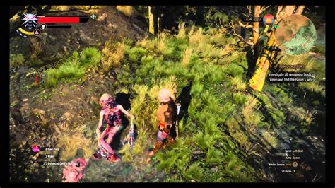 Foglet The Witcher 3 Bestiary Youtube