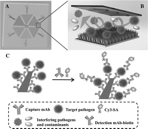 Nanostructured Microfluidics Platform Detects Infectious Pathogens