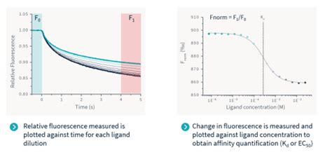 Dose Response Curve Definition And Relevance Nanopedia