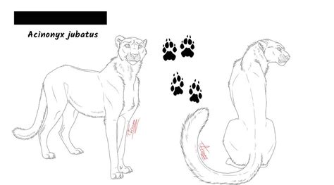 Ftu Blank Cheetah Basepng By Jinx Deviantart On Deviantart