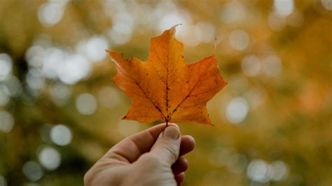 The Mystery Of Emma Rosie S Height Unveiled Oli And Alex