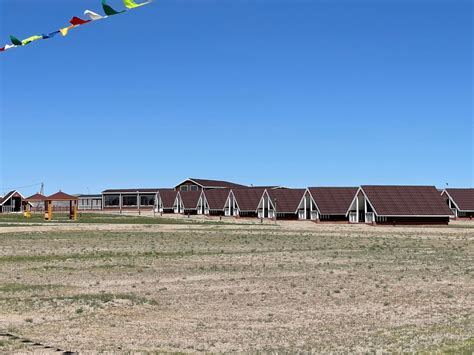 ФОТО Дорноговь аймаг хүүхдийн зуслантай боллоо