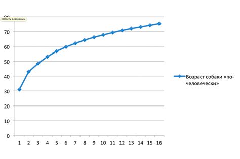 Сколько на самом деле лет вашей собаке
