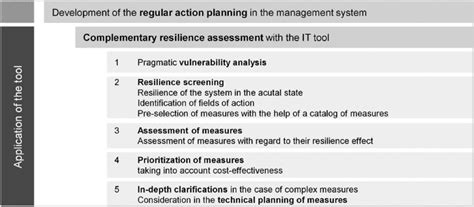 Schematic Representation Of The Resilience Assessment Process Download Scientific Diagram