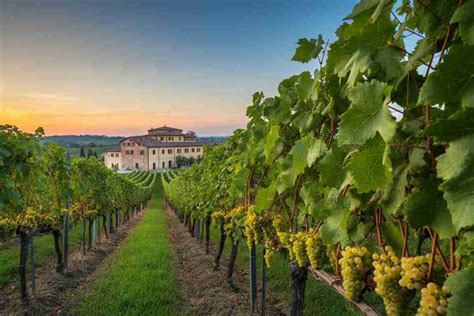 Luca Rigotti Guida Il Futuro Del Consorzio Doc Delle Venezie Vinamundi