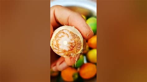 Bettle Nut ☺️ Viral Trending Shorts Bettlenut Youtubeshorts