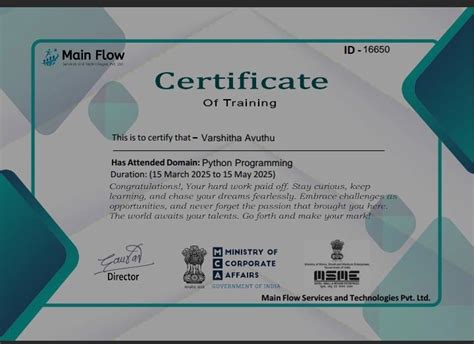 Python Internship Mainflow Learningbydoing Careergrowth