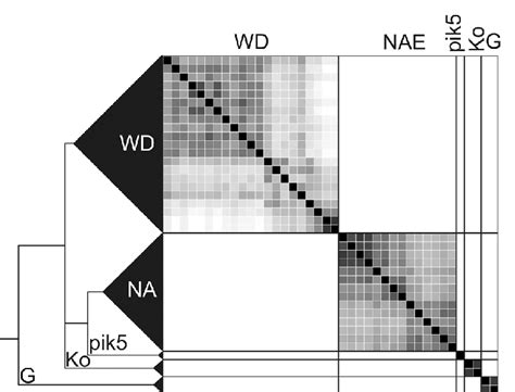 Similarity Matrix From Dissect Analysis Performed After Clone Download Scientific Diagram