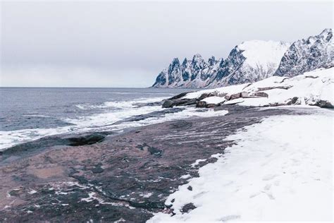 Senja Norway Huskies Northern Lights And Everything Winter Heart My