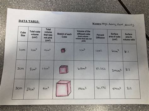 Diffusion In Agar Cubes Maya S Blog Diffusion In Agar Cubes Maya S Blog