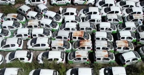 中國電動車墳場的草，長得比車還高 ＊ 阿波羅新聞網