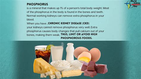 Most Phosphorus Rich Foods Deals Cheapest