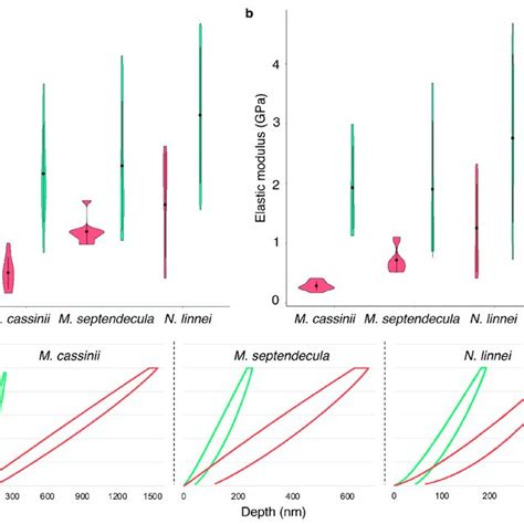 Hardness And Elastic Modulus Measurements With Force Curves Of Cicada
