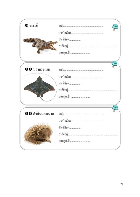 วิทย์ใบงาน ป 4 เทอม 1 หลักสูตรใหม่ Krujah Hayeekaleng หน้าหนังสือ 79 พลิก Pdf ออนไลน์