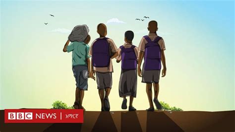 የሕጻናት ጉልበት ብዝበዛ፡ በኢትዮጵያ ካሉ ሕጻናት ግማሽ ያህሉ በጉልበት ሥራ ላይ ተሰማርተዋል Bbc News አማርኛ