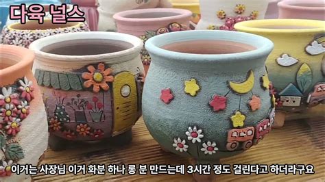 👩‍⚕다육널스👩‍⚕의 🌹힐링 공간🌹 🍰오복 다육🥤이야기 Youtube