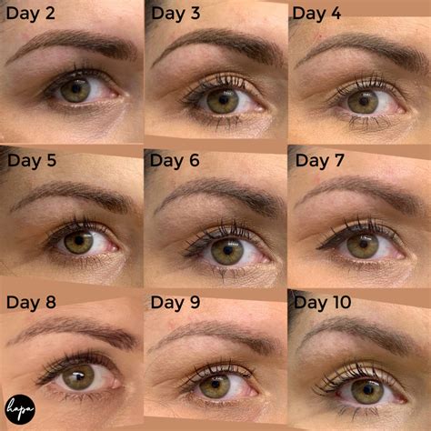 Microblading Eyebrows Healing Process Opulence Brows Beauty 60 Off