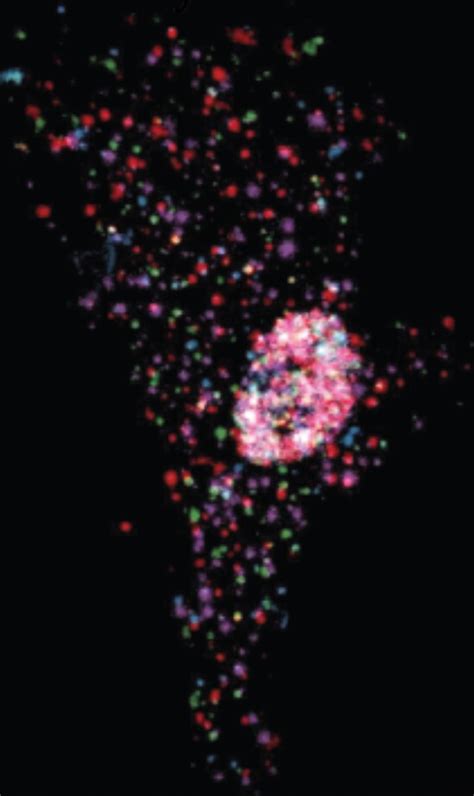 High Throughput Fluorescent Sequencing Of Biomolecules Within Their Cellular Environment