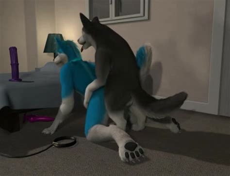 Feral Husky Rails A Anthro Husky ThisVid Com