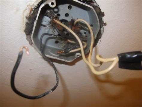 Confusing Light Fixture Wiring DoItYourself Com Community Forums