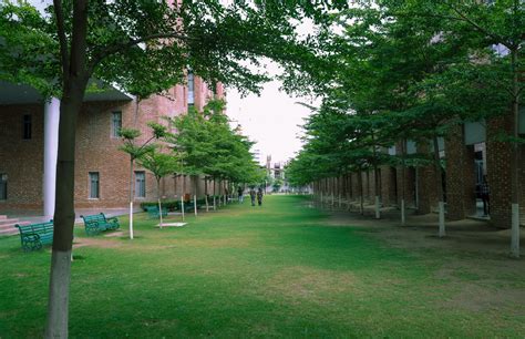 How To Become A Data Scientist In 2025 Career Paths Skills And Mba Programs